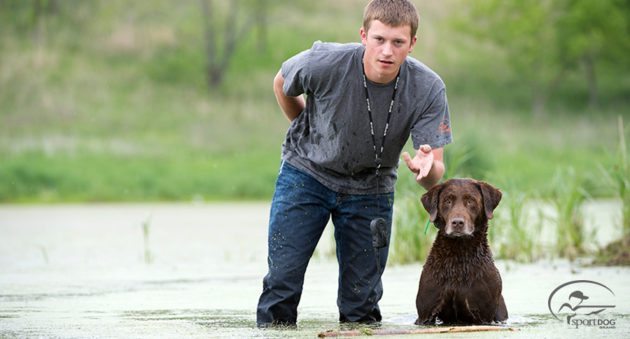 5 Things You (and Your Hunting Dog) Can’t Forget While Training ...