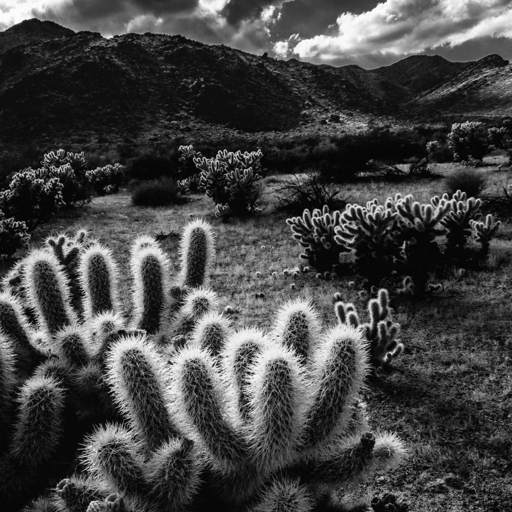 Photo Of The Day By Laura Roberts - Outdoor Enthusiast Lifestyle Magazine