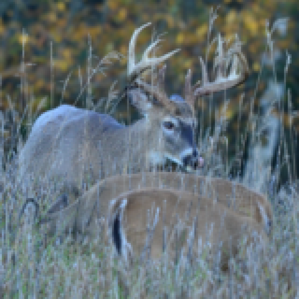 As Deer Season Ends, the Next Season Begins - Outdoor Enthusiast ...