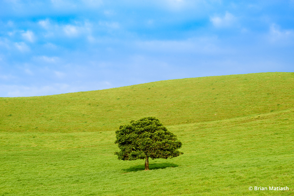 Isolate The Subject In Your Photographs - Outdoor Enthusiast Lifestyle ...