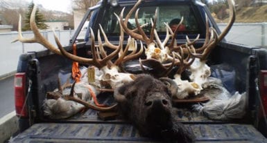 12 of the Biggest Punishments Ever Handed to Poachers - Outdoor ...