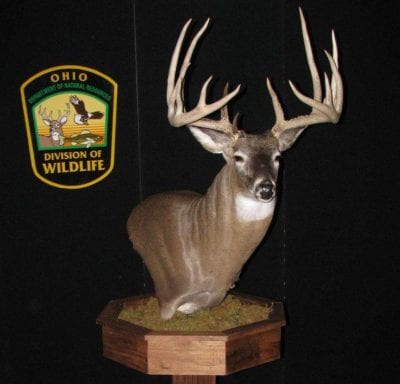 12 of the Biggest Punishments Ever Handed to Poachers - Outdoor ...