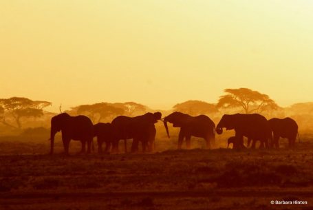 Photo Of The Day By Barbara Hinton - Outdoor Enthusiast Lifestyle Magazine