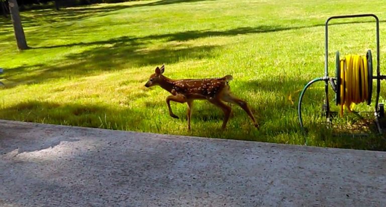 15 Things Hunters Have Done But Won’t Admit - Outdoor Enthusiast ...