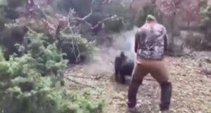 Charging Boar Gets Dropped at the Last Moment - Outdoor Enthusiast ...
