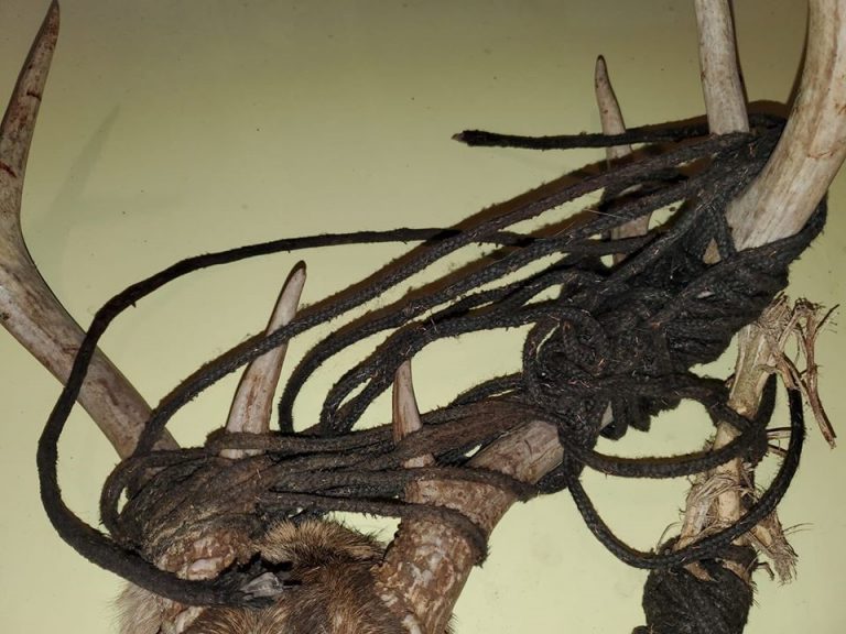 The Rope Buck - Outdoor Enthusiast Lifestyle Magazine