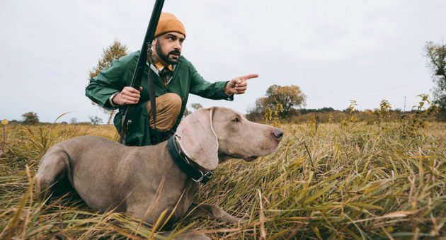 Gun Dog Hall of Fame: The 20 Best Hunting Breeds to Hit the Field ...