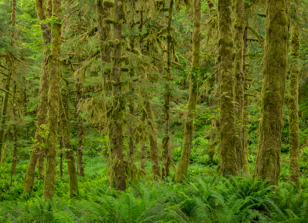 Pick A Color Assignment Winner Beth Baker - Outdoor Enthusiast ...