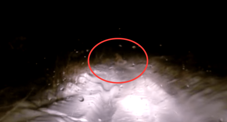 Camera Footage Stirs Up Russian Yeti Theories - Outdoor Enthusiast ...