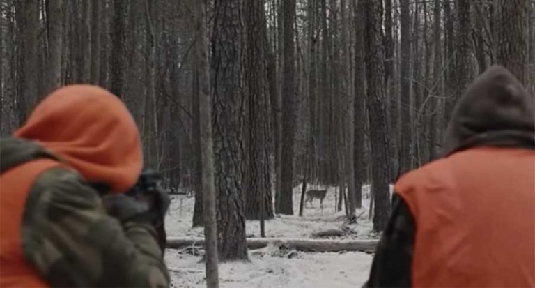 Intro From Prisoners is Still Perhaps Hollywood's Most Realistic Deer ...