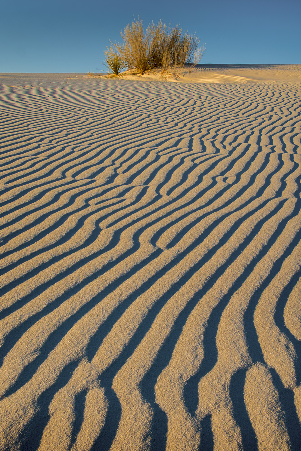 Using Lines In Photography - Outdoor Enthusiast Lifestyle Magazine