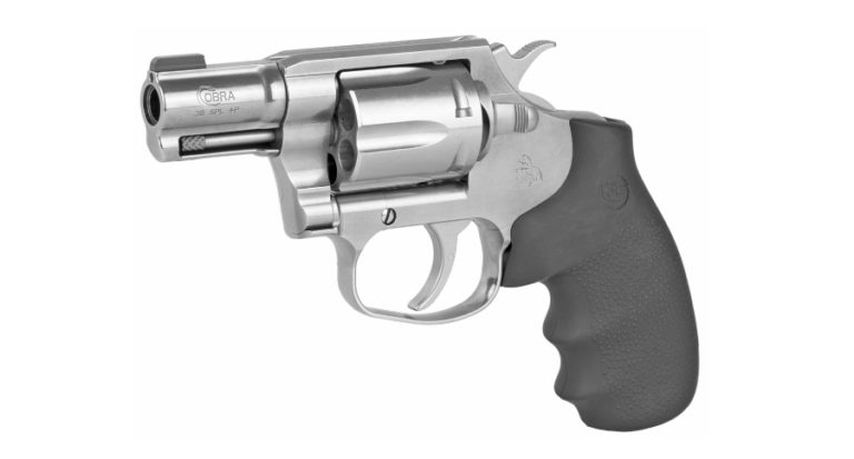 8 Great Choices for Revolvers Chambered in .38 Special - Outdoor ...