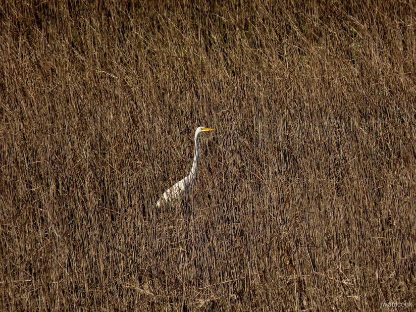 Photo Of The Day By James Woolcock - Outdoor Enthusiast Lifestyle Magazine