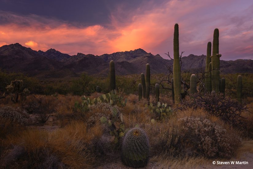 Photo Of The Day By Steven W Martin Photography - Outdoor Enthusiast ...