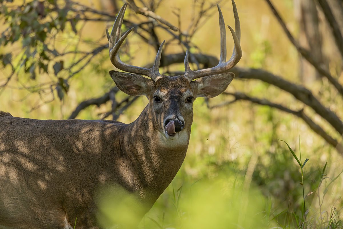 Deer Hunting Season Mistakes to Avoid - Outdoor Enthusiast Lifestyle ...