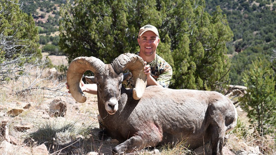 Four Sheep, Four Cartridges, One Nosler Complete North American Grand ...