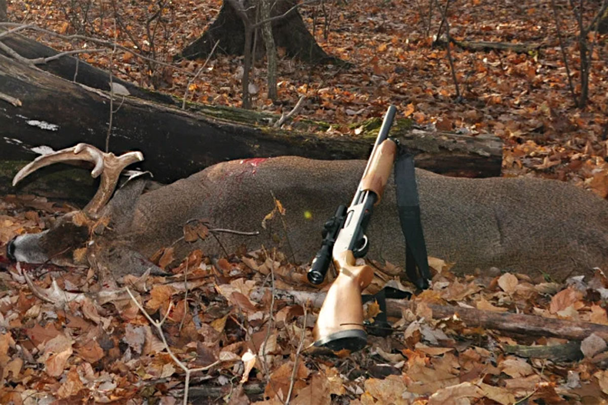 Deer Hunting with Shotguns: The Legalities, Trends, and Efficacy ...