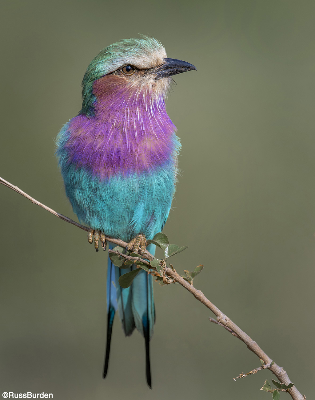 Photographing Mother Nature’s Offerings - Outdoor Enthusiast Lifestyle ...