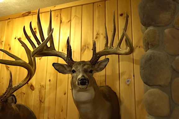 The General: The Giant Nebraska Whitetail That Was Larger Than the ...