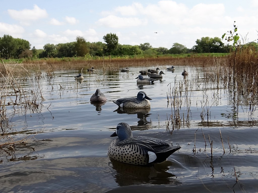 Why Hunting Is So Important - Outdoor Enthusiast Lifestyle Magazine