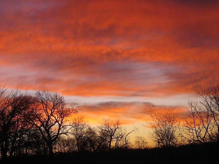 Why Hunting Is So Important - Outdoor Enthusiast Lifestyle Magazine