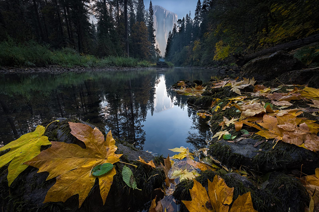 Worm’s Eye View Assignment Winner Kris Walkowski - Outdoor Enthusiast ...