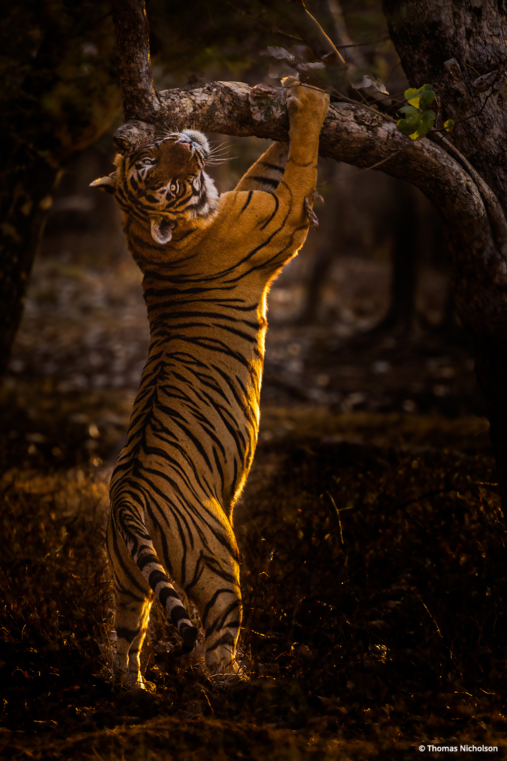 Photo Of The Day By Thomas Nicholson - Outdoor Enthusiast Lifestyle ...