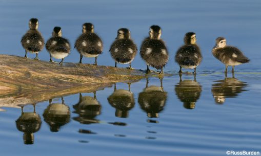 Shapes, Lines, Patterns And Textures in Nature, Part 2 - Outdoor ...