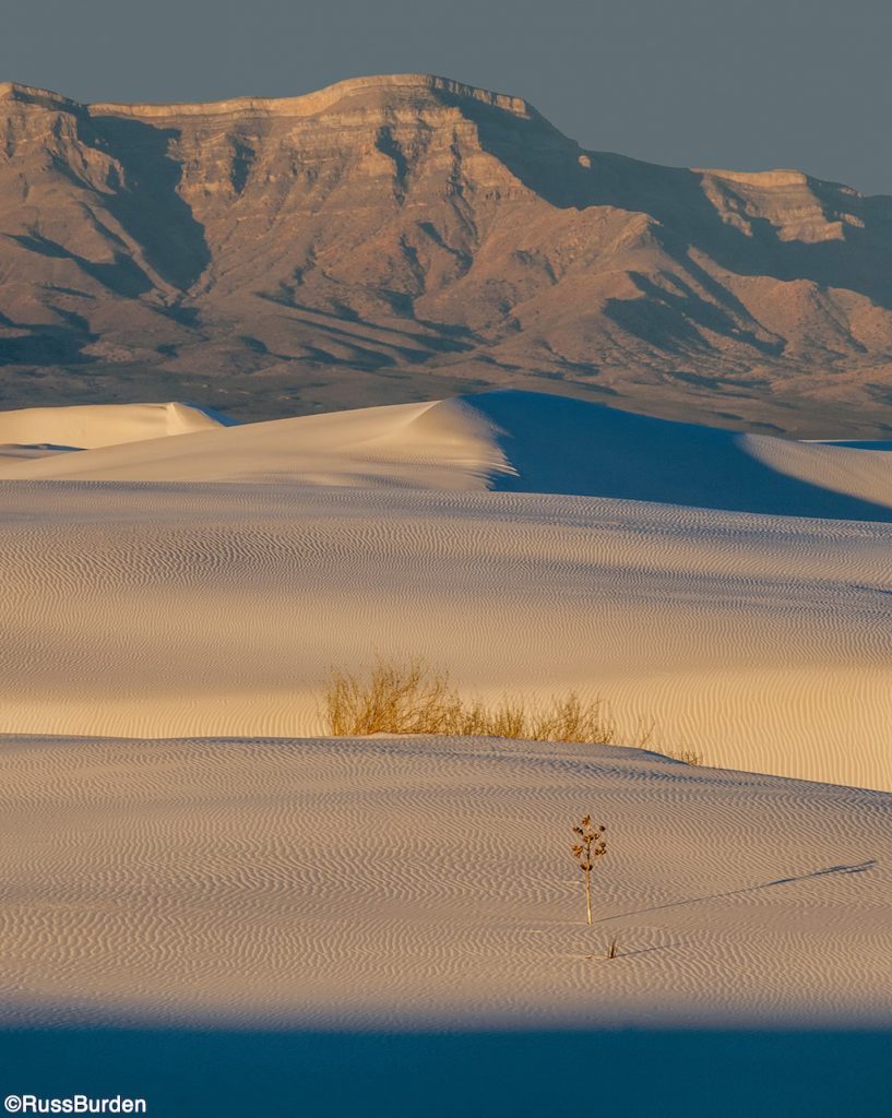 Shapes, Lines, Patterns And Textures in Nature, Part 2 - Outdoor ...