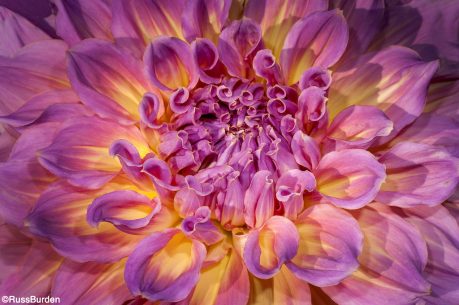 Shapes, Lines, Patterns And Textures in Nature, Part 2 - Outdoor ...