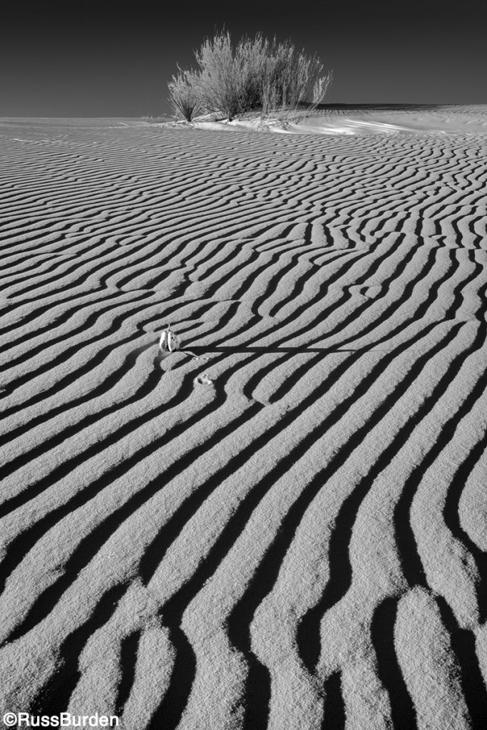 Shapes, Lines, Patterns And Textures in Nature, Part 2 - Outdoor ...