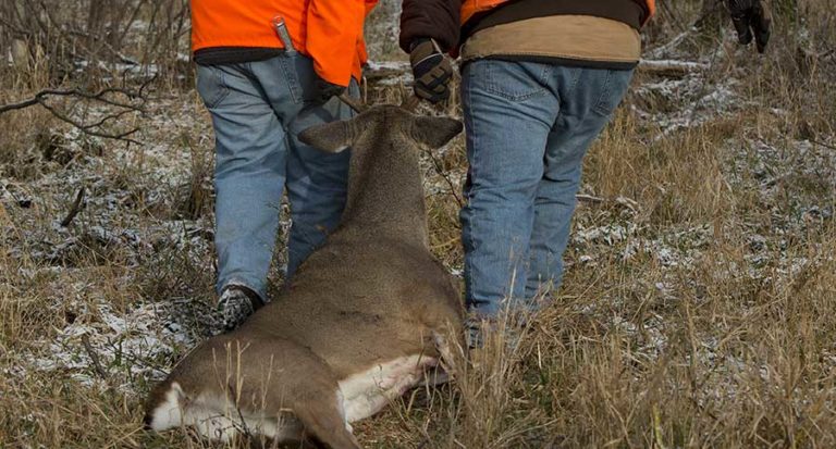 Deer Carts: 5 Top Picks for Packing Out Even the Biggest Deer - Outdoor ...