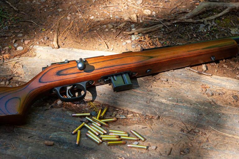.22 Magnum: Profiling the Powerful Rimfire Caliber - Outdoor Enthusiast ...