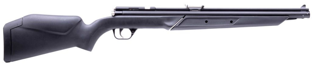 5 Best Pellet Guns for Squirrels and Other Varmints - Outdoor ...