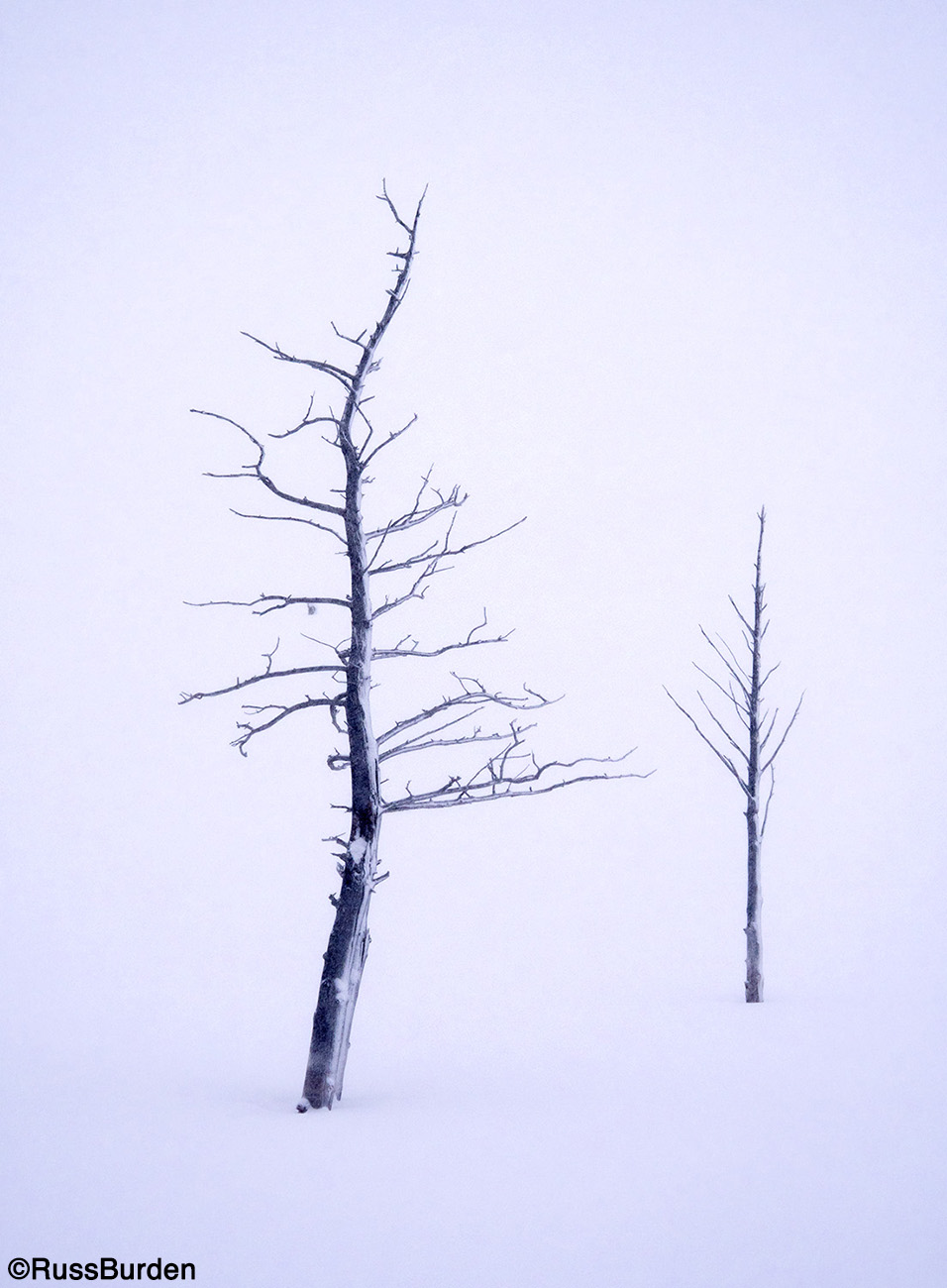 Cold And Snowy Landscape Photography - Outdoor Enthusiast Lifestyle ...