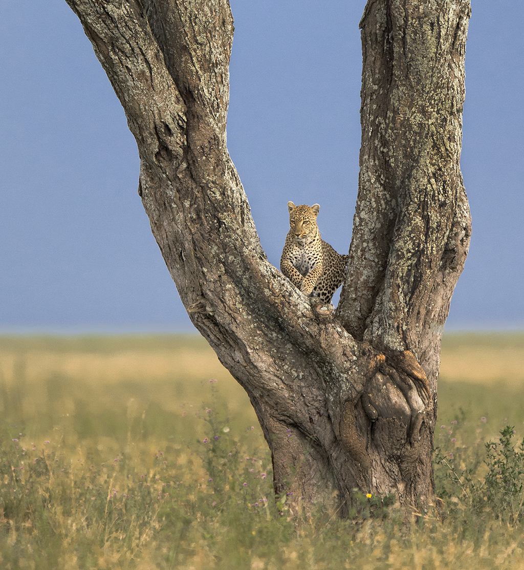 Reach For Your Alternate Lens - Outdoor Enthusiast Lifestyle Magazine
