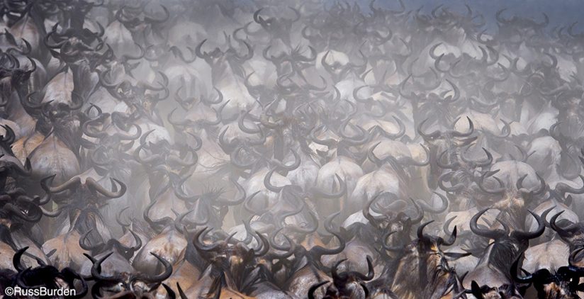 Shooting Patterns, Shapes And Lines - Outdoor Enthusiast Lifestyle Magazine