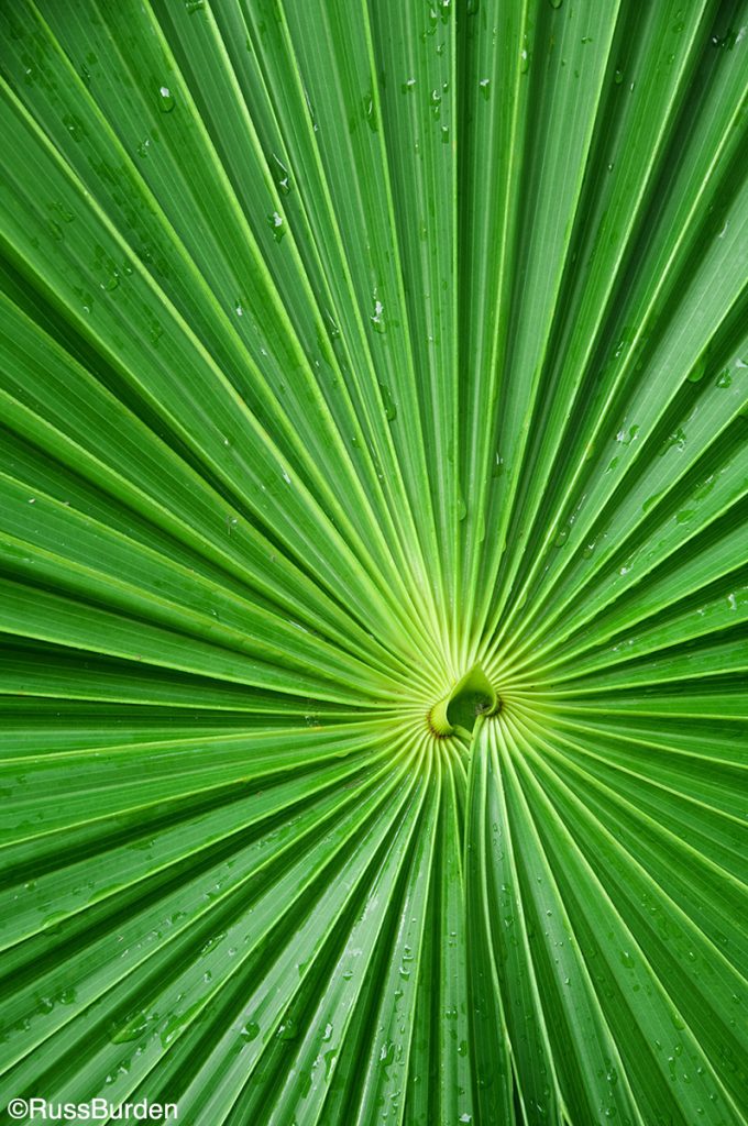 Shooting Patterns, Shapes And Lines - Outdoor Enthusiast Lifestyle Magazine