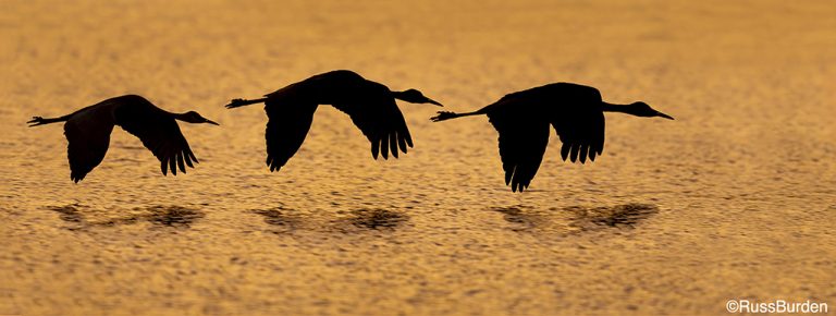 Shooting Patterns, Shapes And Lines - Outdoor Enthusiast Lifestyle Magazine