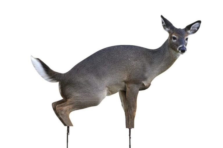 7 Best Full Body Deer Decoys That Pull Big Bucks to Your Stand ...