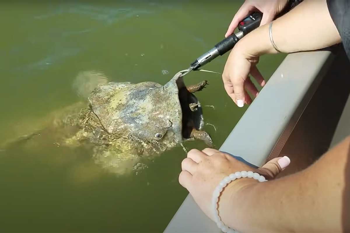 10 Things Seen While Fishing that Seem to Defy Explanation - Outdoor ...