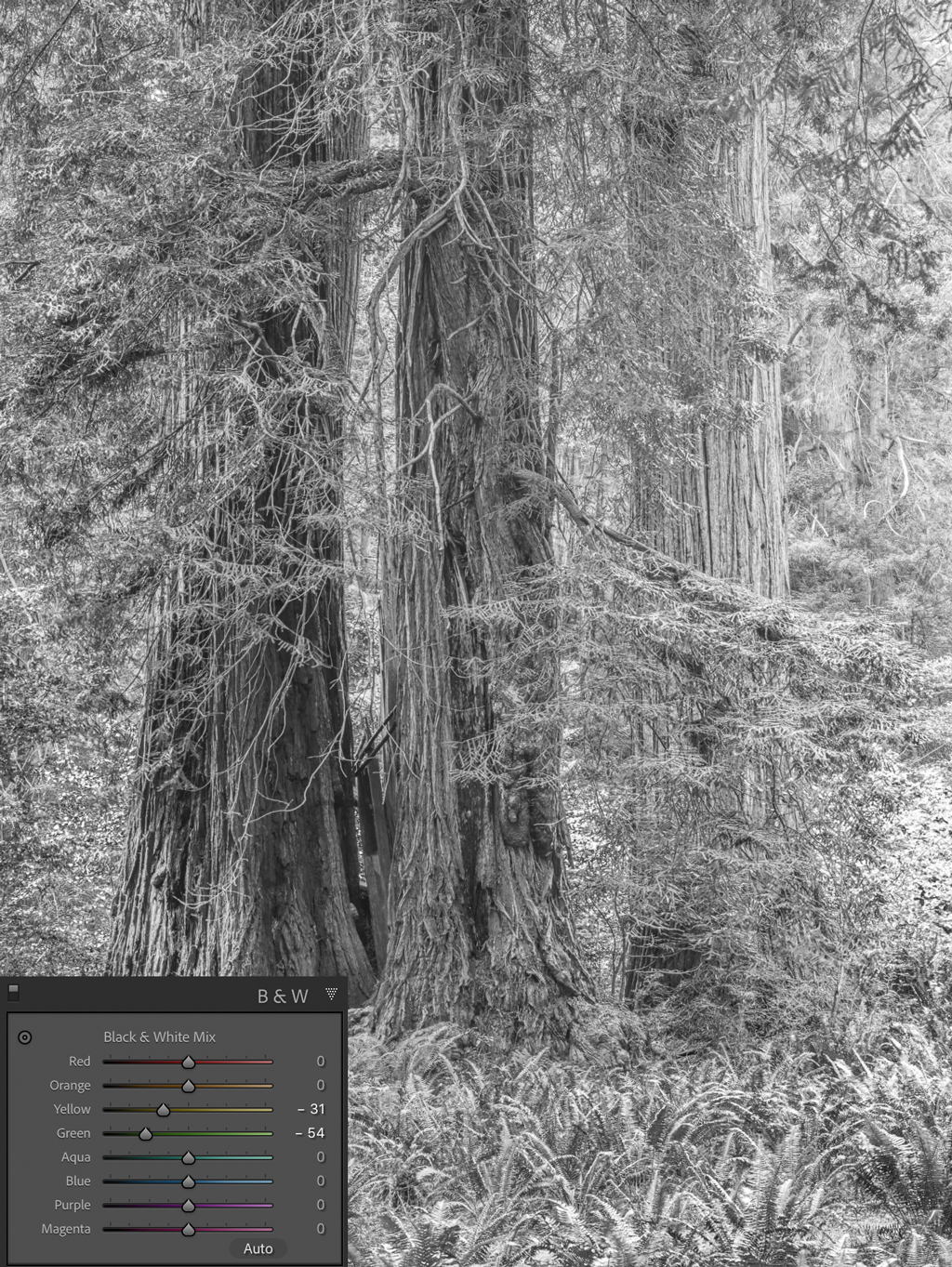 5 Tips To Master B&W Printing - Outdoor Enthusiast Lifestyle Magazine