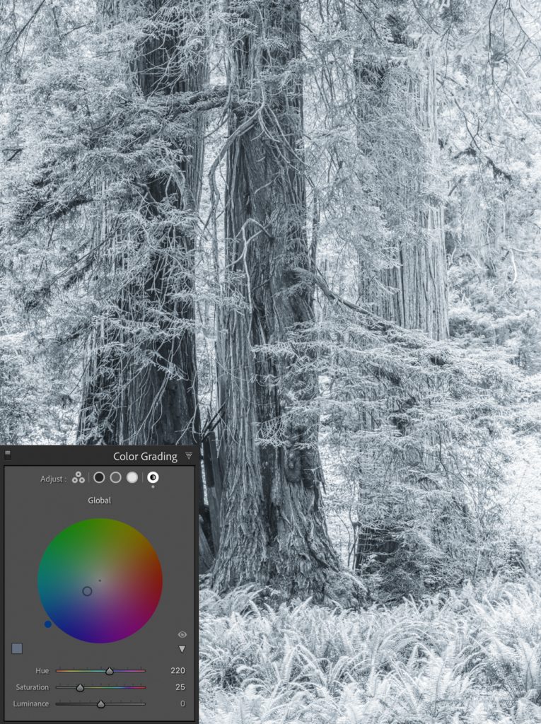 5 Tips To Master B&W Printing - Outdoor Enthusiast Lifestyle Magazine