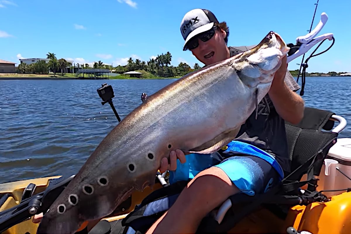 Angler Tangles With Massive Clown Knifefish in Florida's Ida Lake ...
