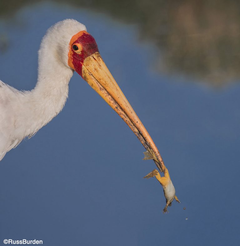 Endurance And Fortitude In Photography - Outdoor Enthusiast Lifestyle ...