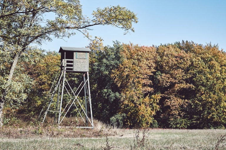 How to Determine When It's Time to Move on From a Deer Hunting Spot ...