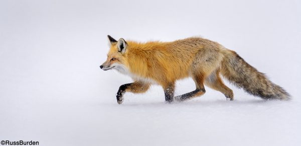 How To Take Sharp Photos - Outdoor Enthusiast Lifestyle Magazine