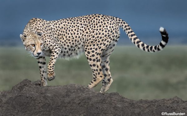 How To Take Sharp Photos - Outdoor Enthusiast Lifestyle Magazine