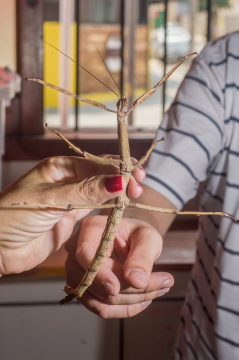 PHOTOS: 10 Weird Animals With Unique Looks, Traits, and Habits ...