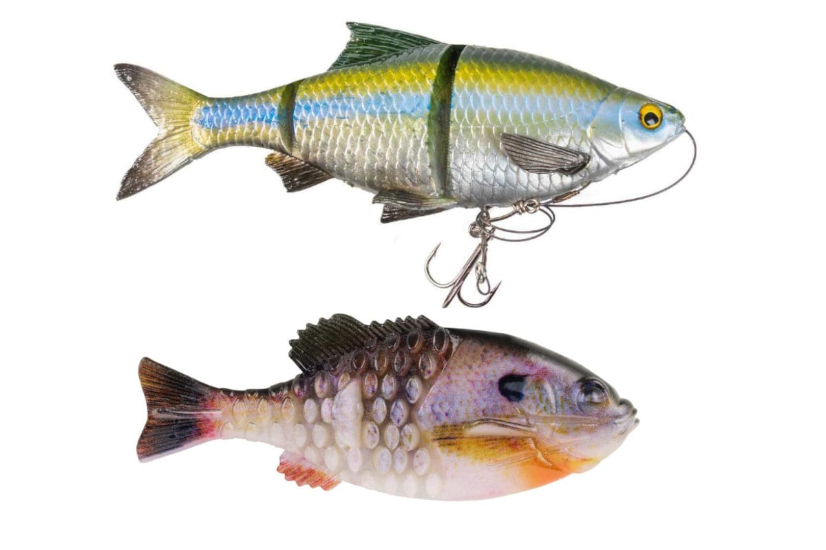 8 Most Realistic Swimbaits Made Today - Outdoor Enthusiast Lifestyle ...